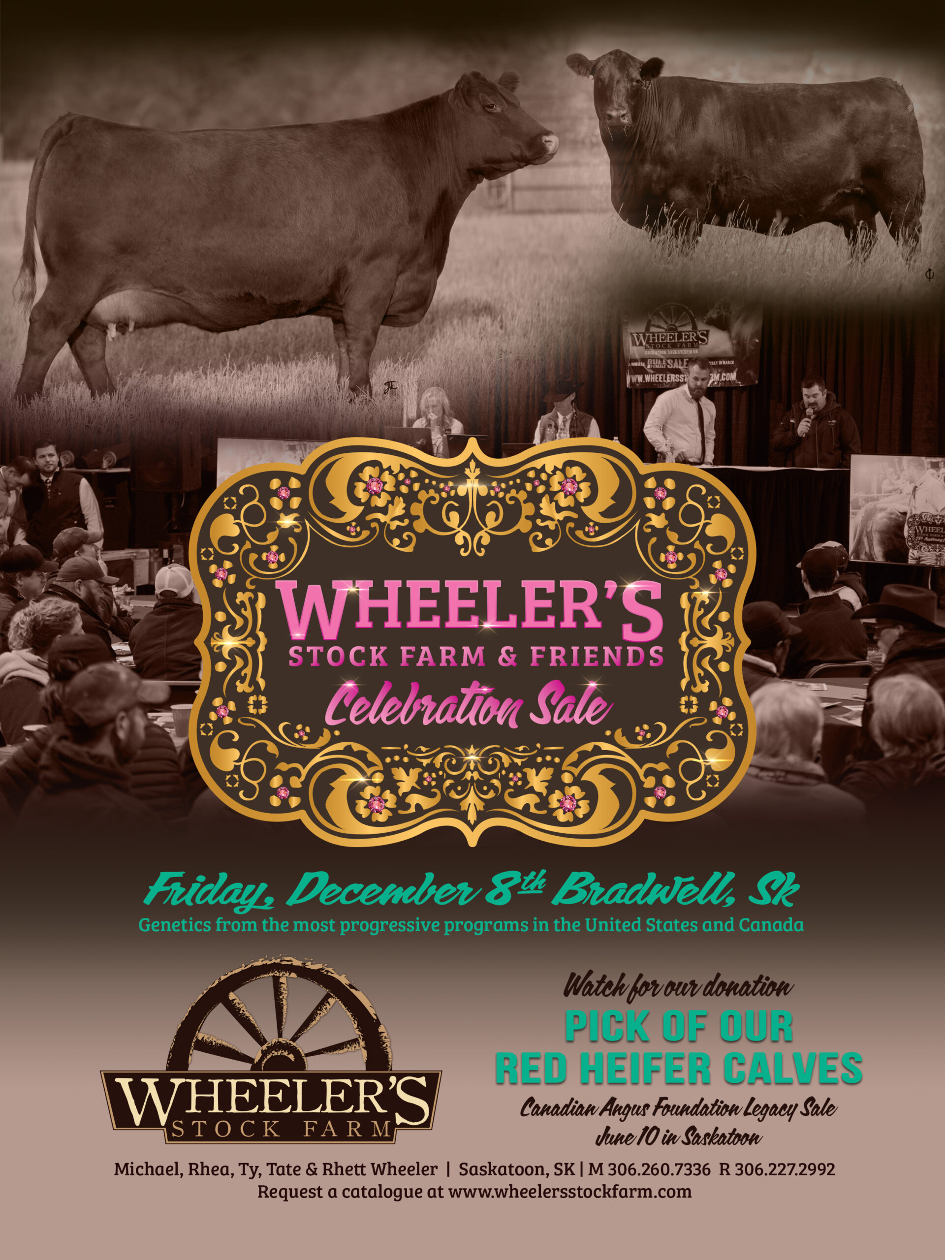 Female Sale – Wheeler's Stock Farm